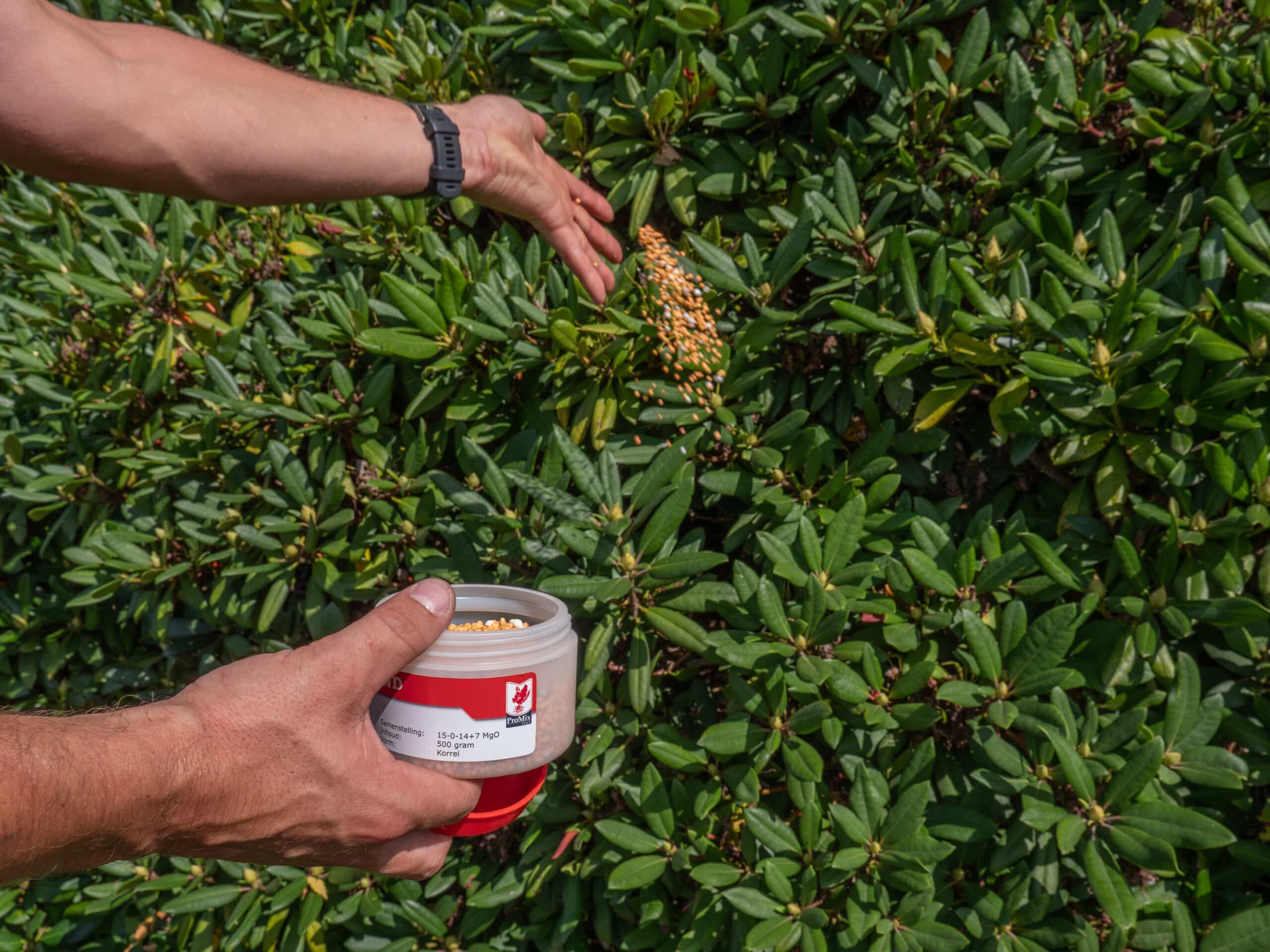 ProMix Blend – Pot – ProMix